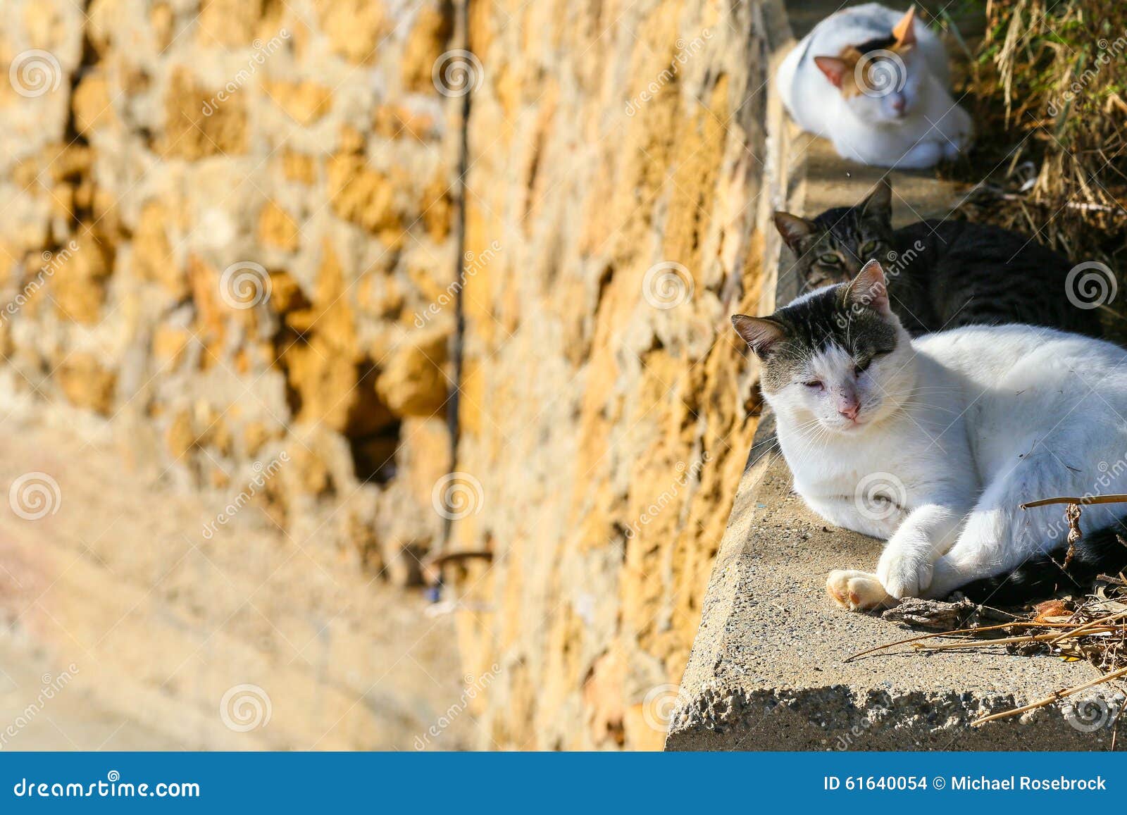 Siesta! stock photo. Image of tourism, greek, crete, mediterranean ...