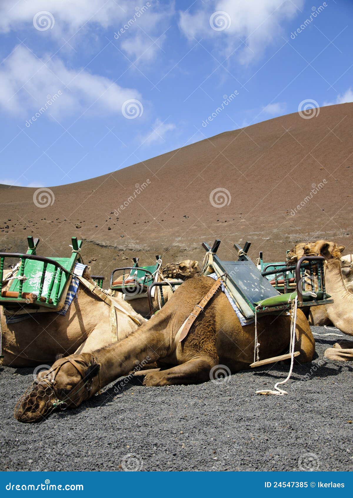 Siesta time stock image. Image of europe, brown, dune - 24547385
