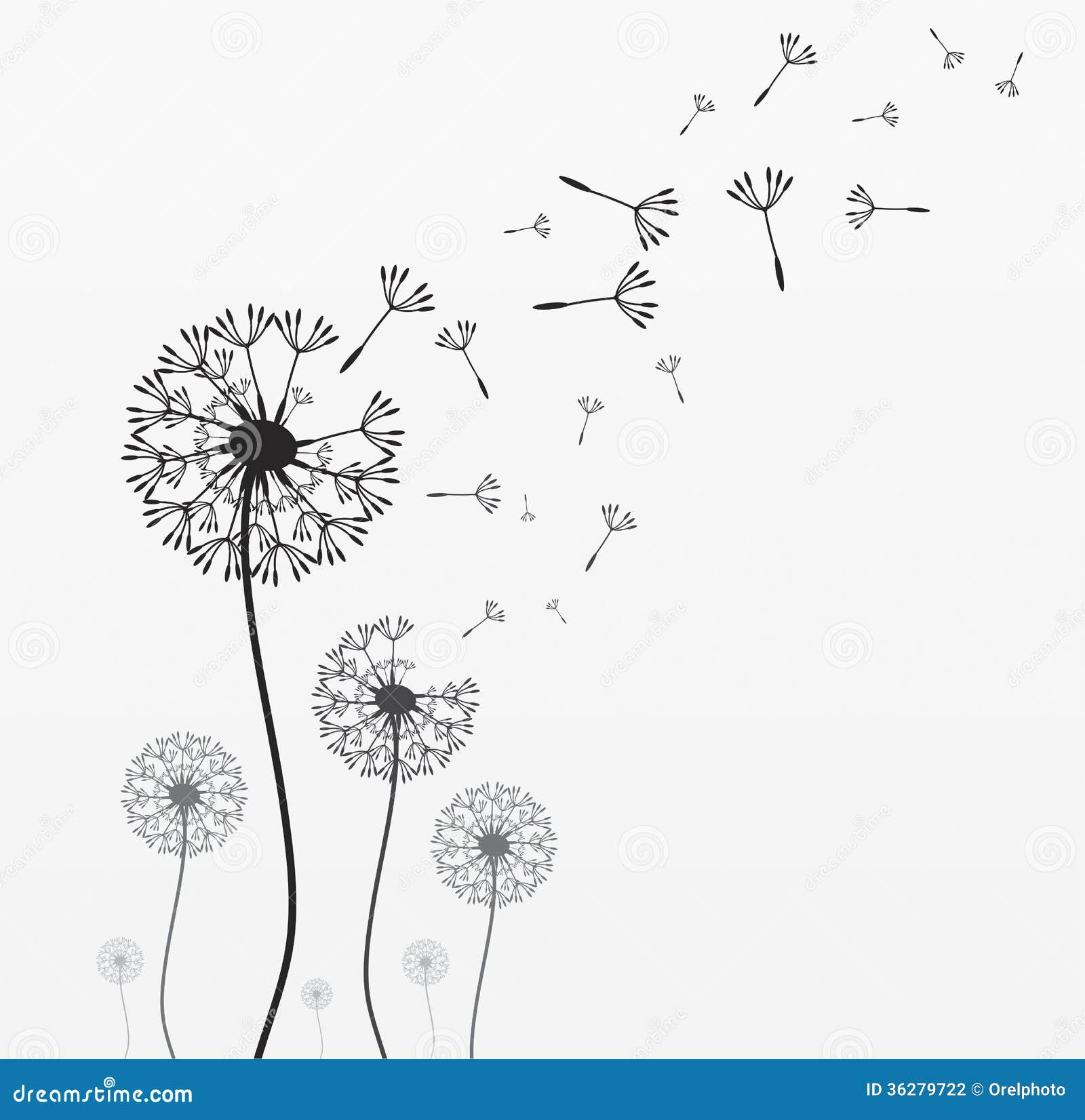 Siete Dientes De León Del Vector Ilustración del Vector - Ilustración ...