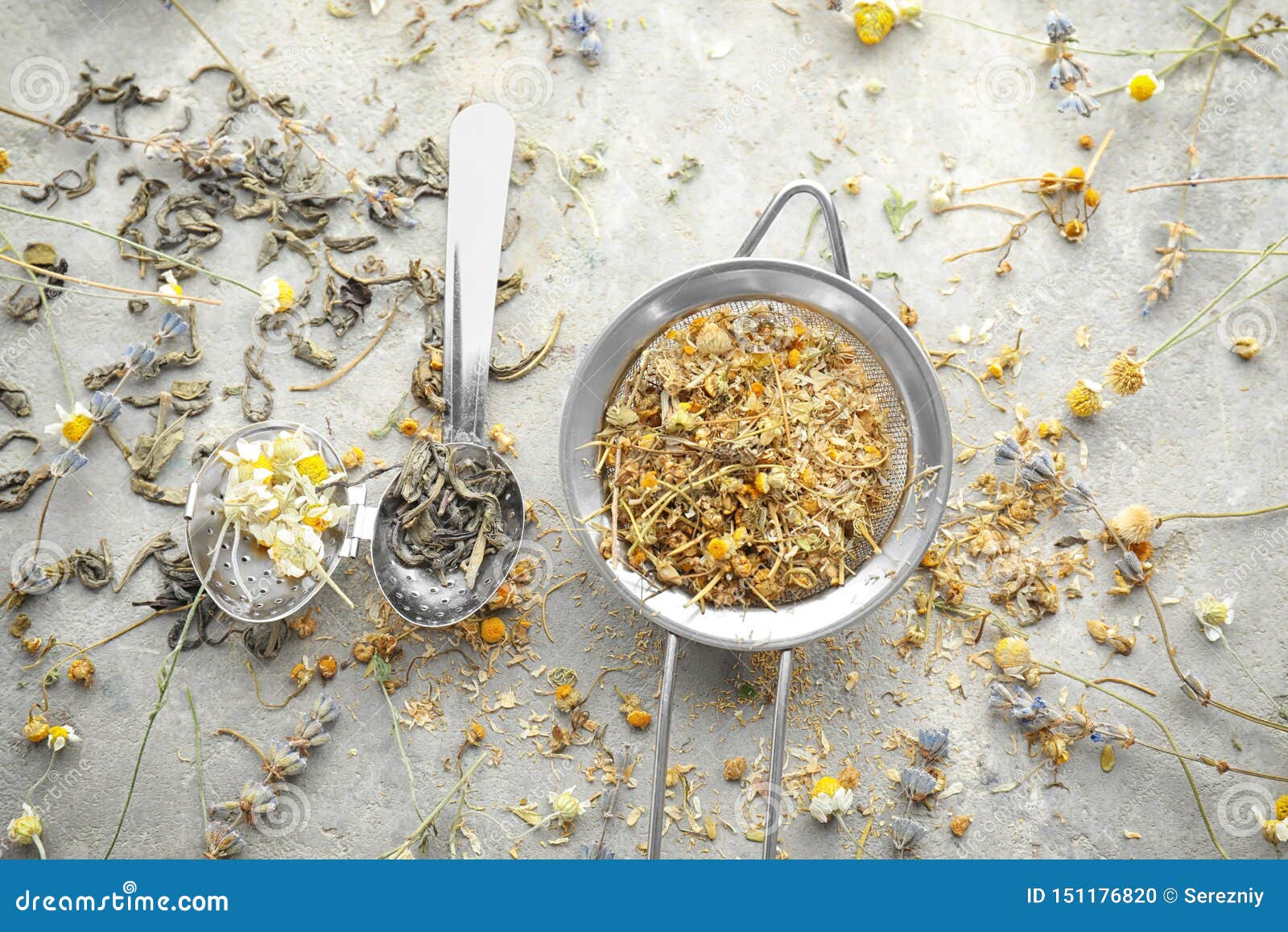 Sieve and Strainer with Dried Tea Leaves and Chamomile Flowers on Light ...