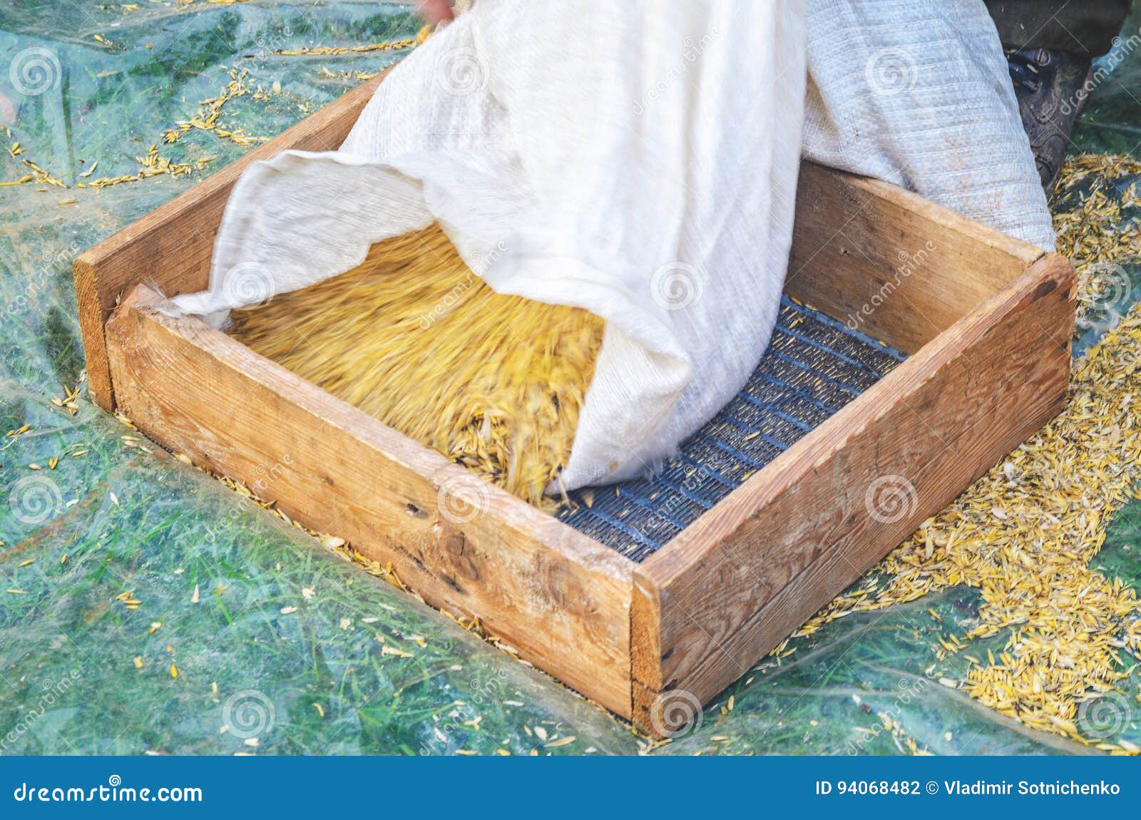 Sifting grain background stock photo. Image of crop, cupped - 94068482