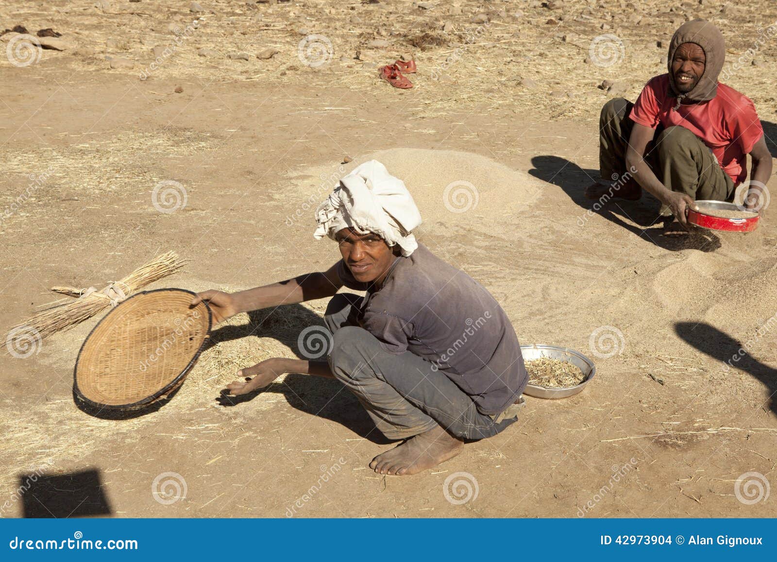 Sifting grain, Ethiopia editorial stock image. Image of meleke - 42973904