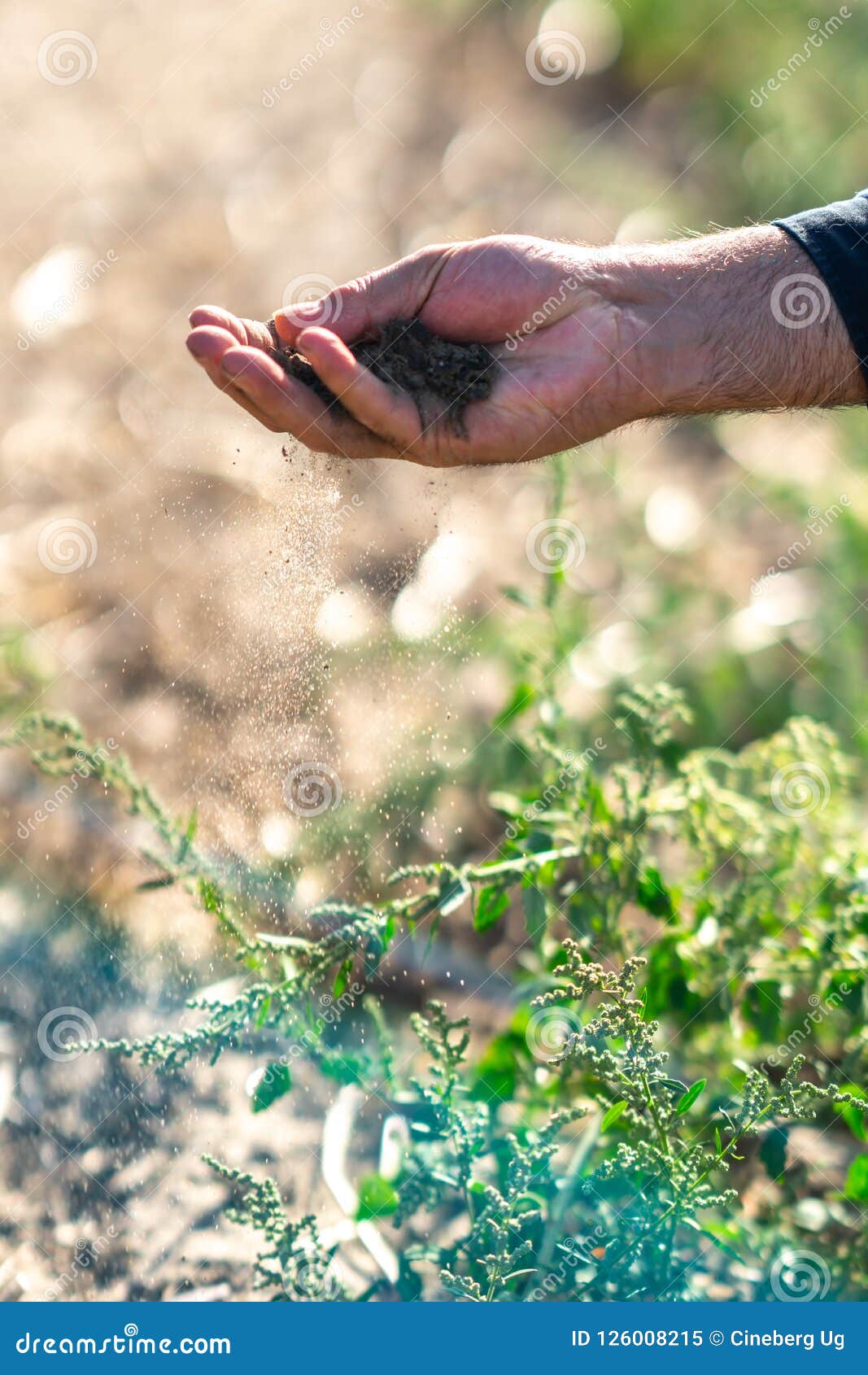 Sifting soil stock image. Image of agronomy, dropping - 126008215