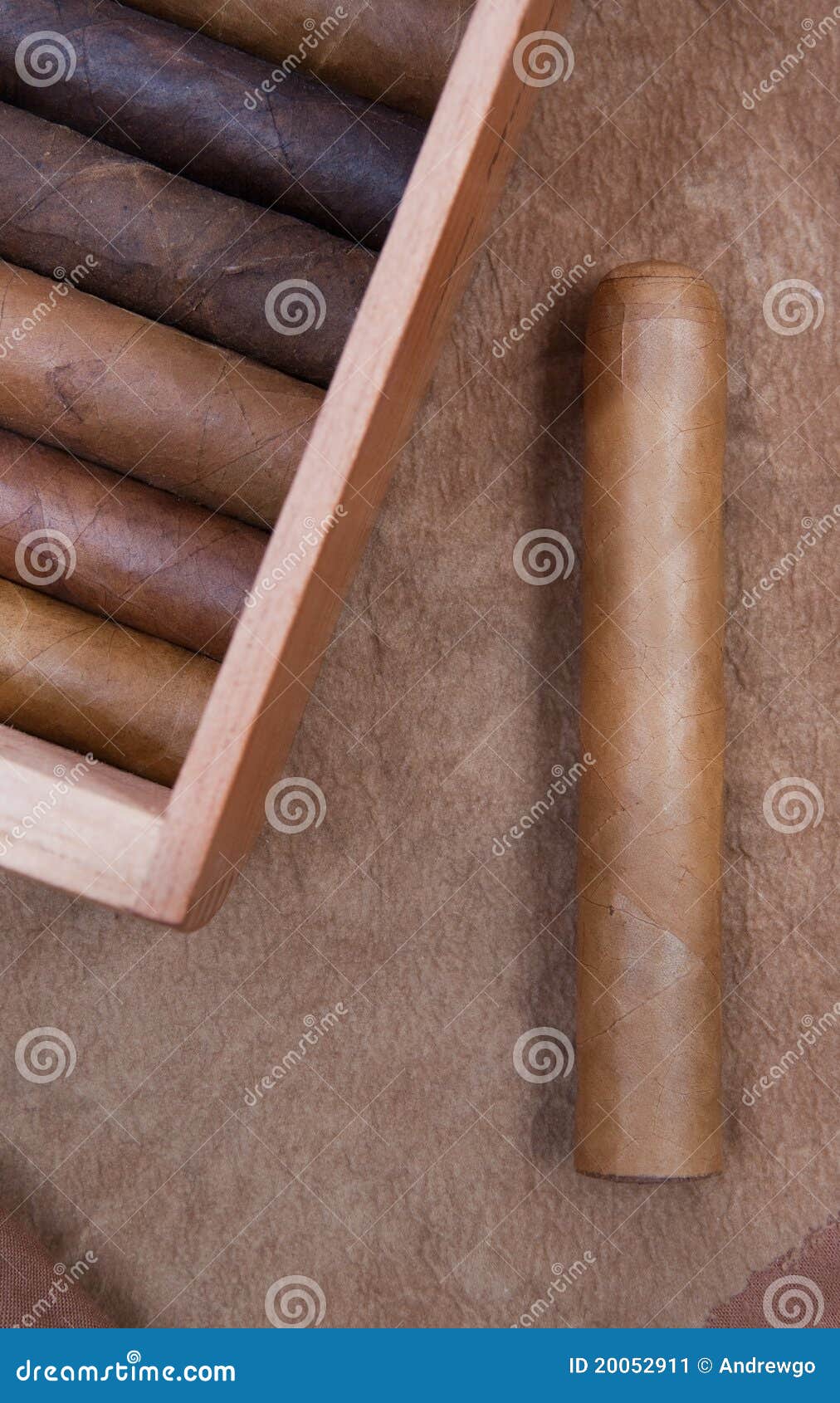 Sigaar stock afbeelding. Image of rijkdom, nicotine, luxe - 20052911