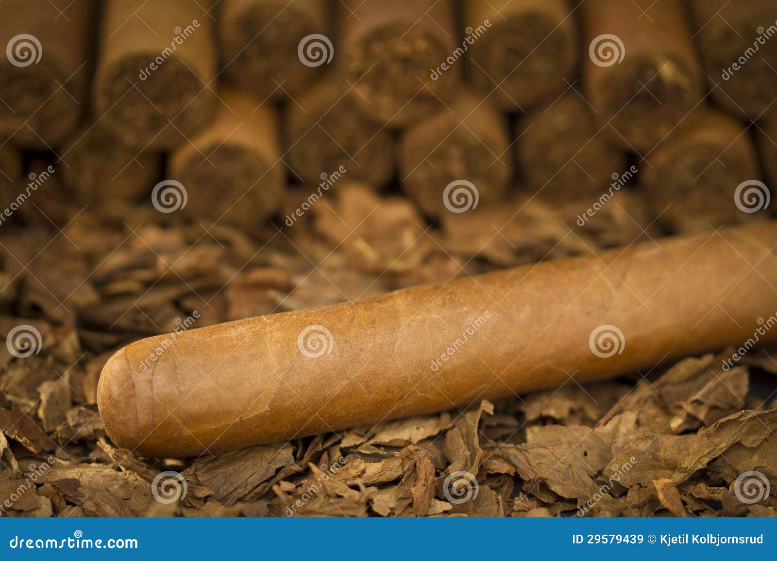 Sigaar op Tabak stock afbeelding. Image of productie - 29579439