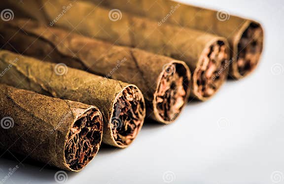 Sigar stock image. Image of case, collection, label, culture - 25493721