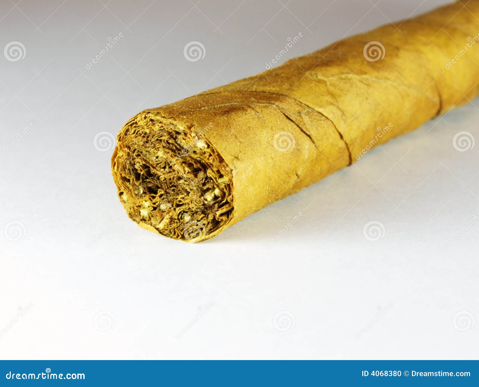 Sigaro fotografia stock. Immagine di cigarillo, sigaro - 4068380