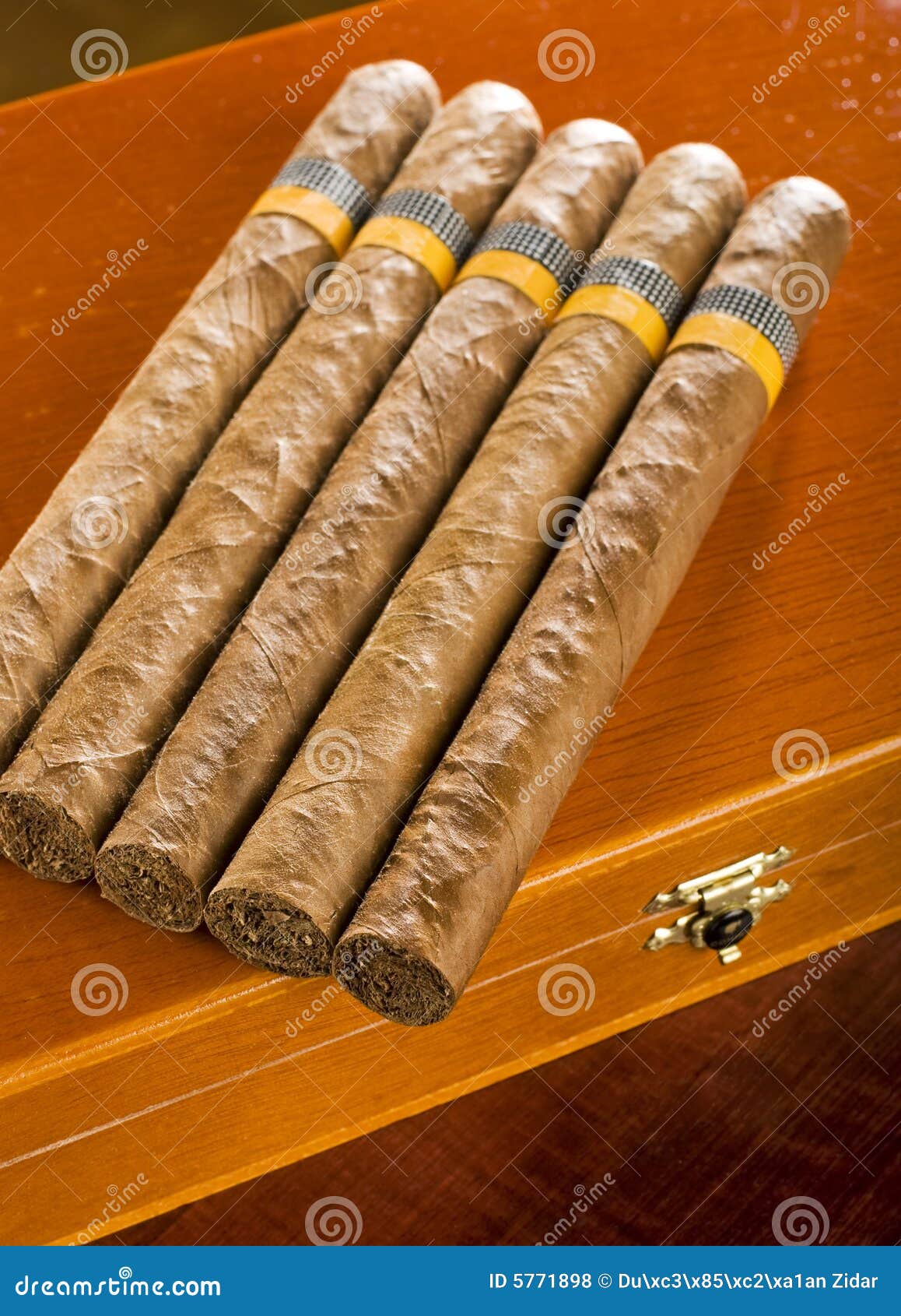 Sigaro fotografia stock. Immagine di casella, soffio, foglio - 5771898