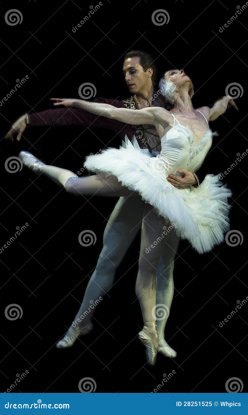 Sigfrido and Odette flying editorial image. Image of elegant - 28251525