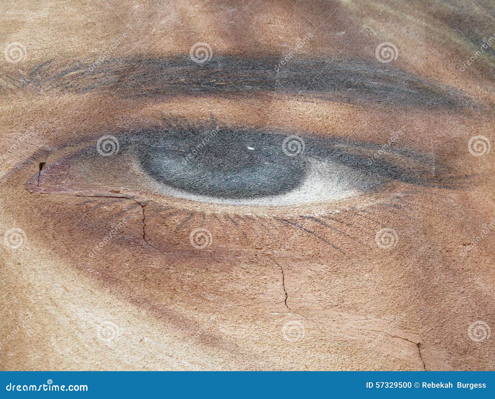 Sight editorial image. Image of sight, texture, male - 57329500