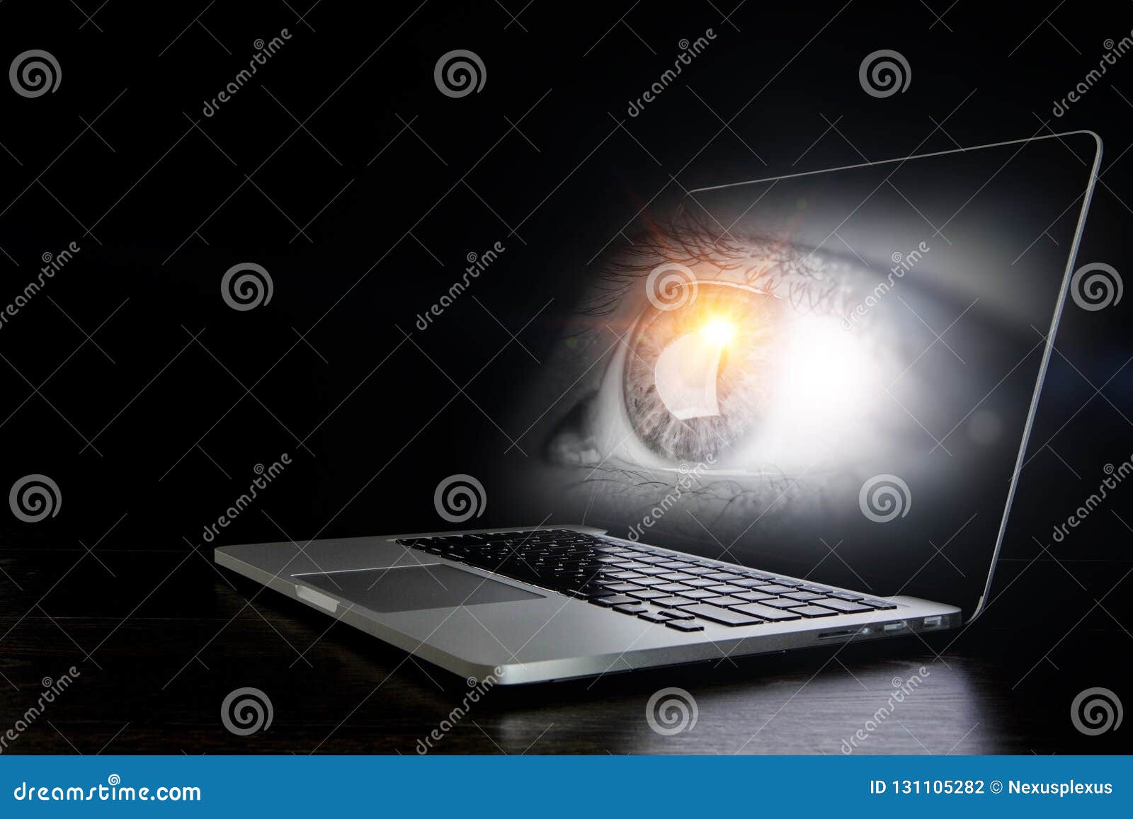 Sight from laptop screen stock photo. Image of keyboard - 131105282
