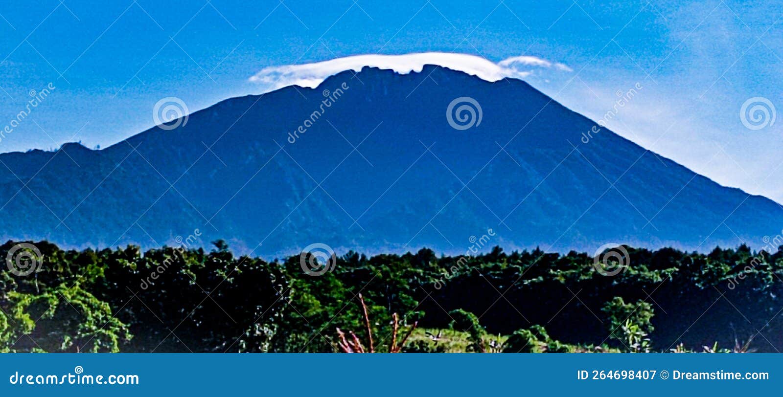 Sight of Mountain when Morning Comes Stock Image - Image of plant ...