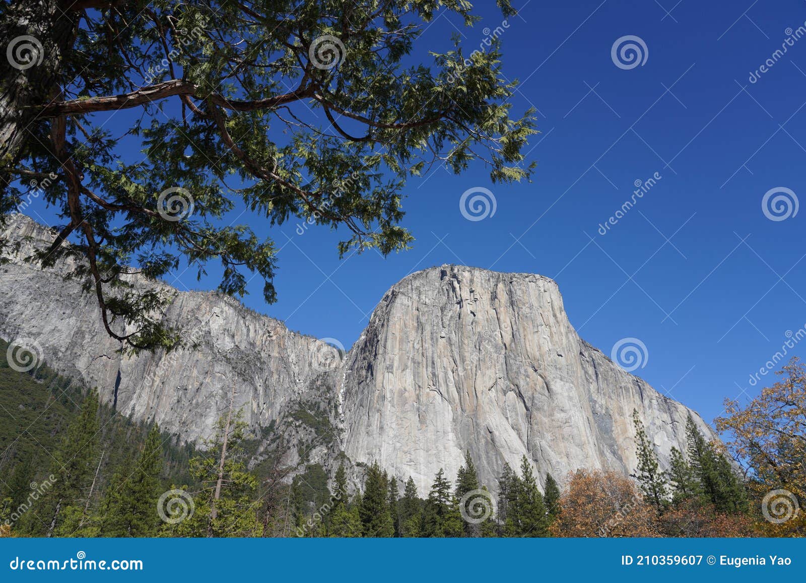 El capitan sight stock image. Image of adventure, forest - 210359607