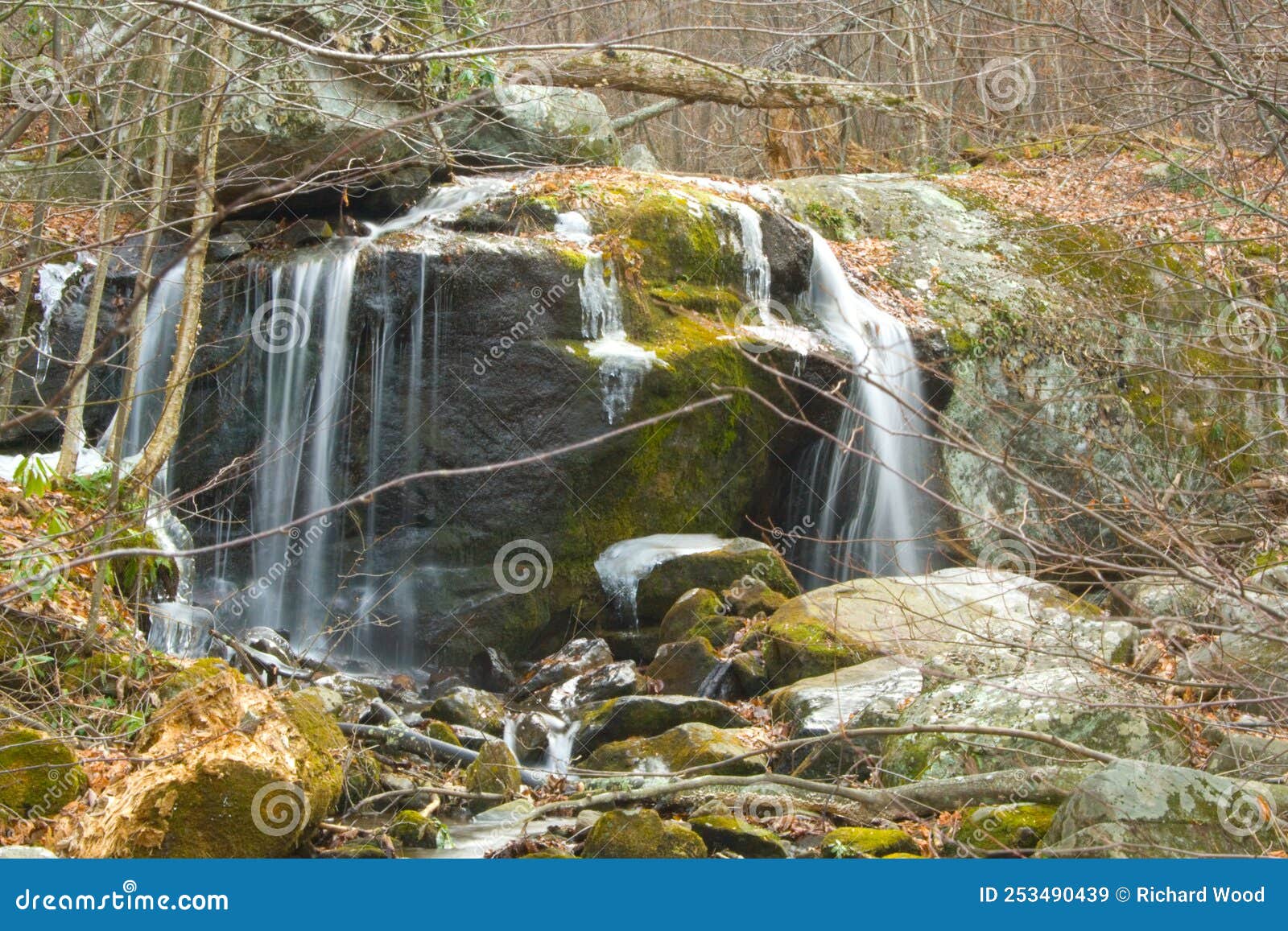 Sights on the Apple Orchard Falls Trail Off of the Blue Ridge Parkway ...