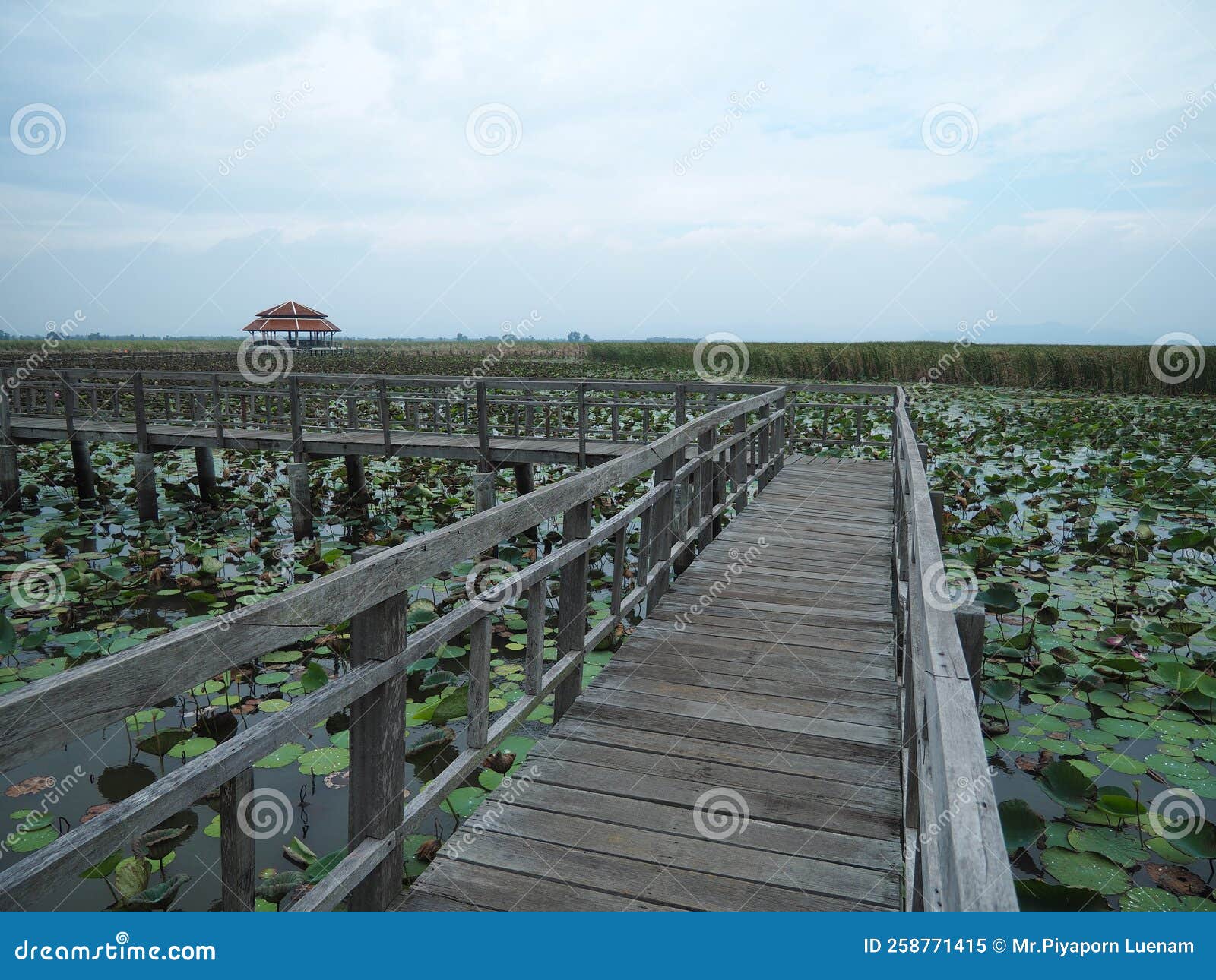 Sightseeing Bridge for Water Attraction. Stock Image - Image of ...