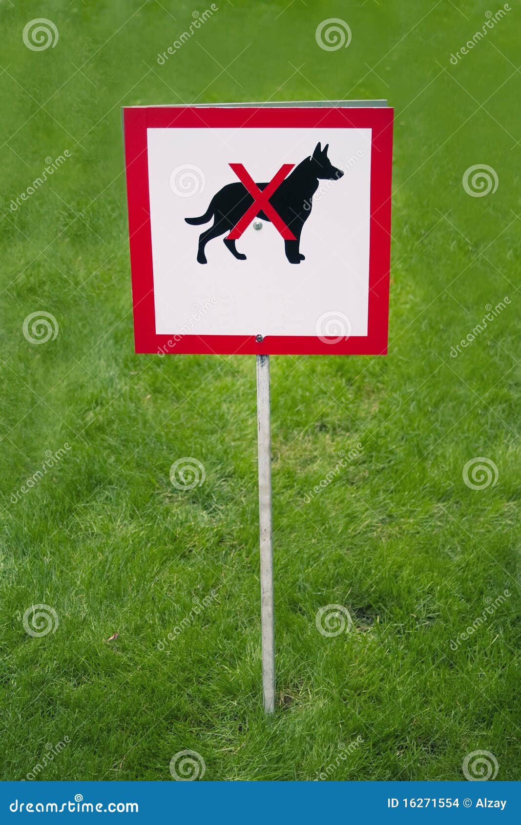 Sign stock photo. Image of macro, botany, ecology, colored - 16271554