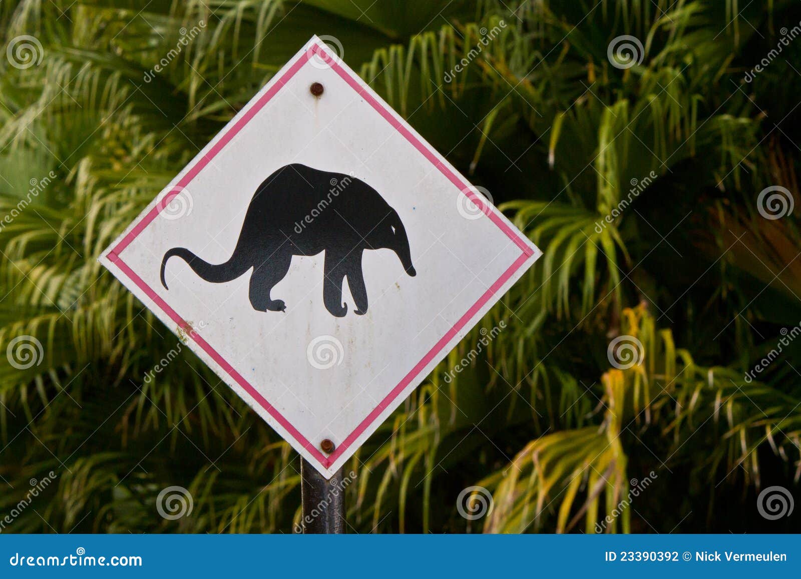 Sign stock photo. Image of america, animal, tropical - 23390392