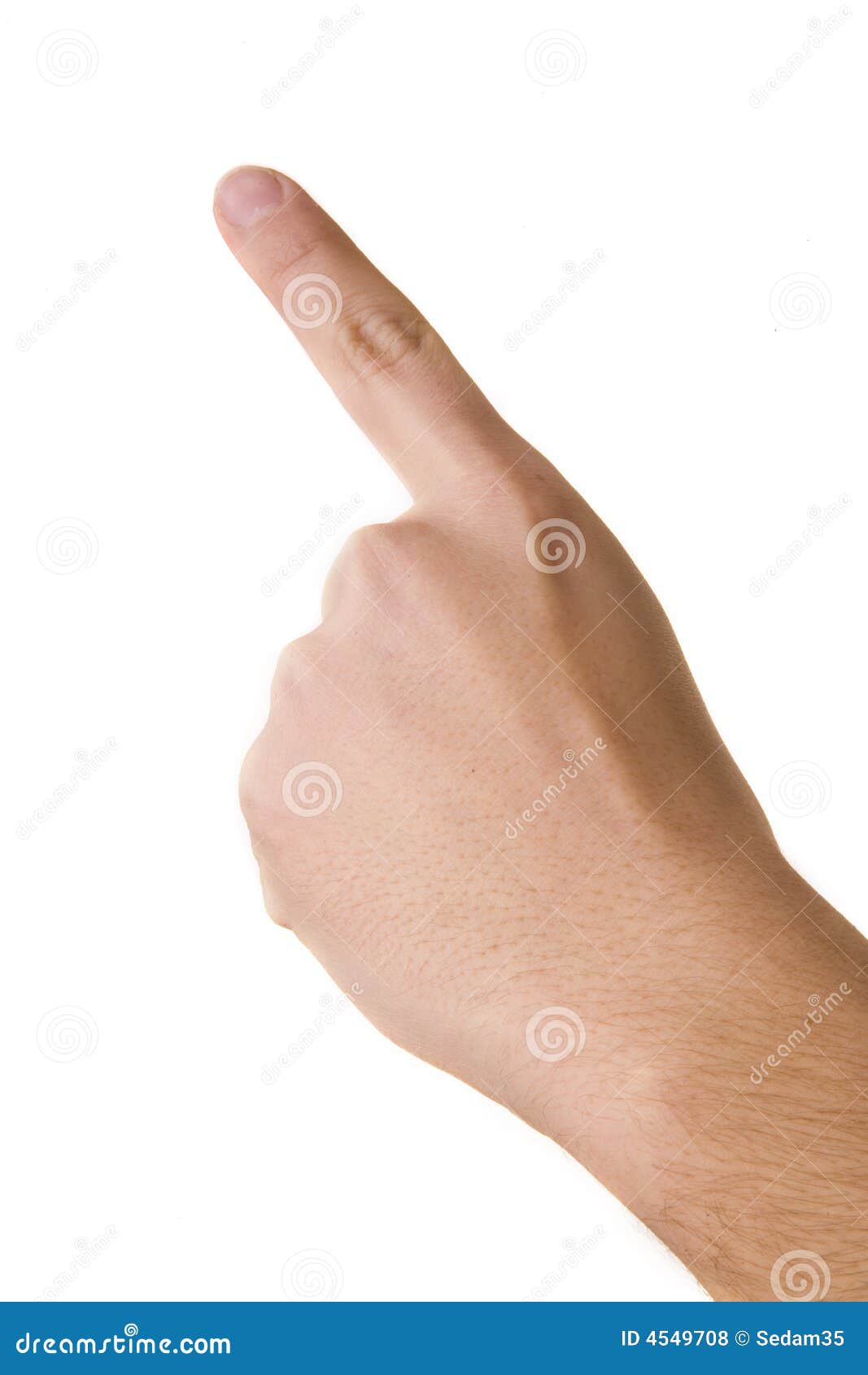 Sign stock photo. Image of isolated, point, studio, human - 4549708