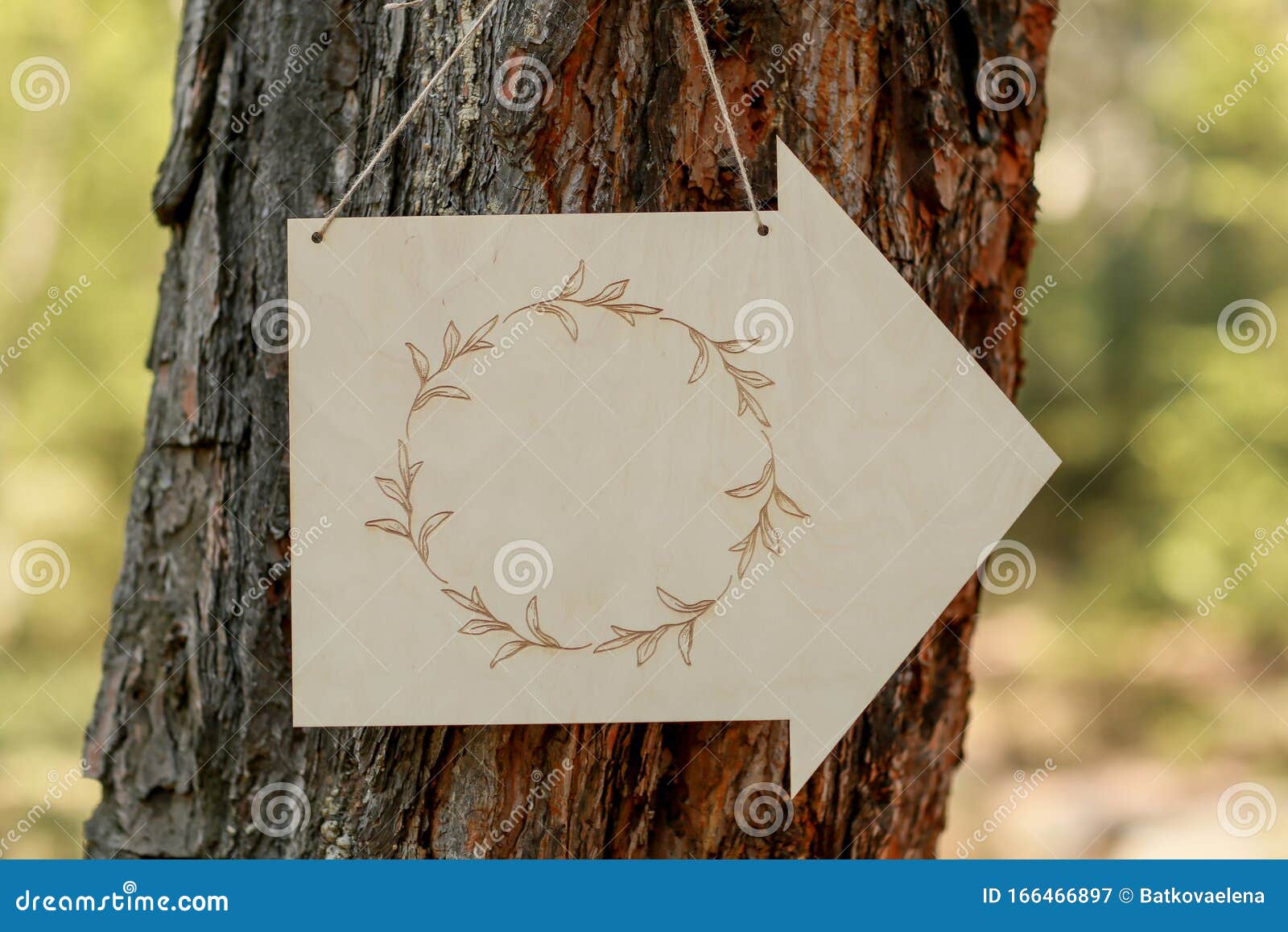 A Sign Attached To a Tree in the Shape of an Arrow Stock Image - Image ...