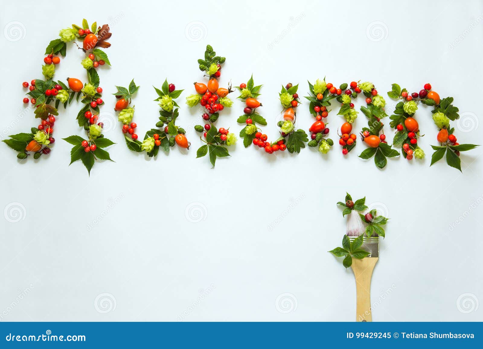 Sign `Autumn` Made of Autumnal Natural Objects Stock Image - Image of ...