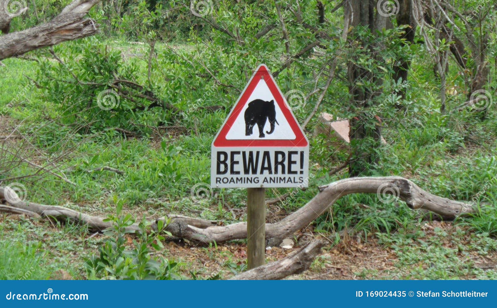 A Sign of Beware Incoming Animals Stock Image - Image of woodland ...