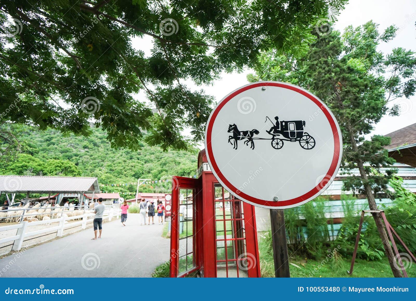 Sign Beware of Horse Carriage Editorial Image - Image of animal, amish ... Sign Beware of Horse Carriage Editorial Image - Image of animal, amish ...