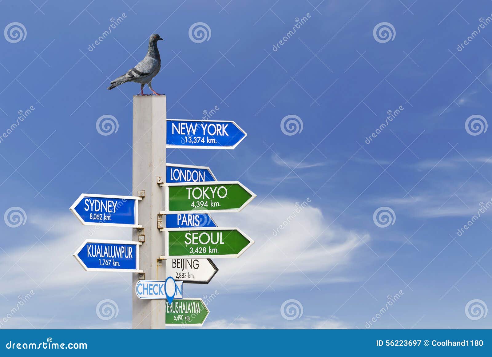 Sign and bird stock image. Image of street, wallpaper - 56223697