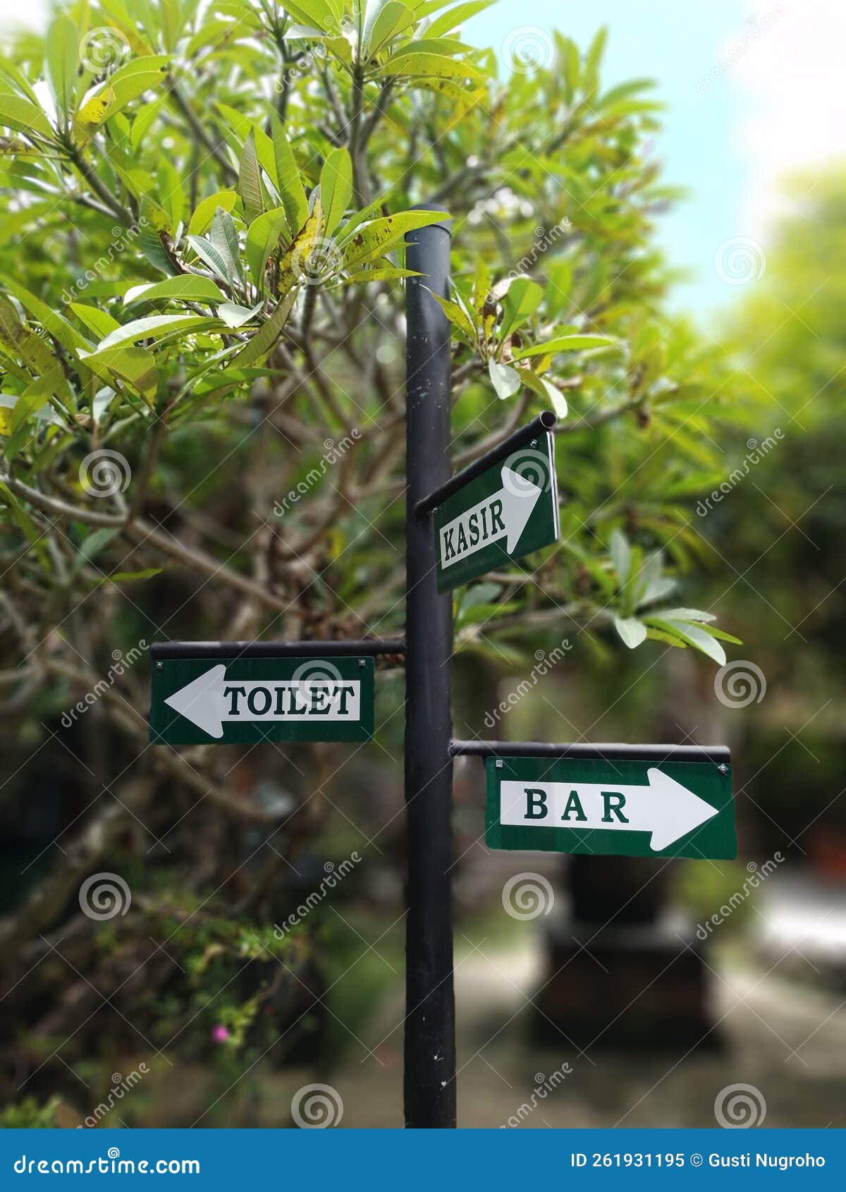 Sign Board Direction Arrow Nature Stock Image - Image of sign, nature ...