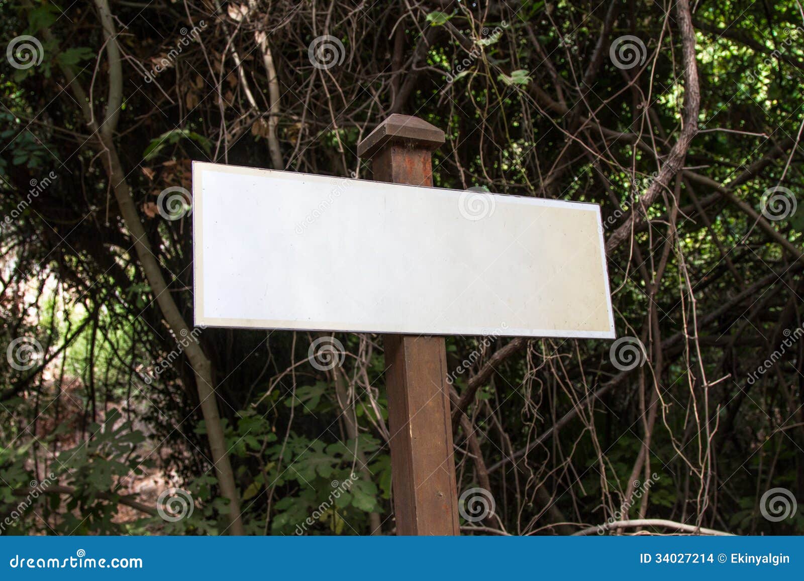 Sign Board in Forest stock photo. Image of forest, board - 34027214
