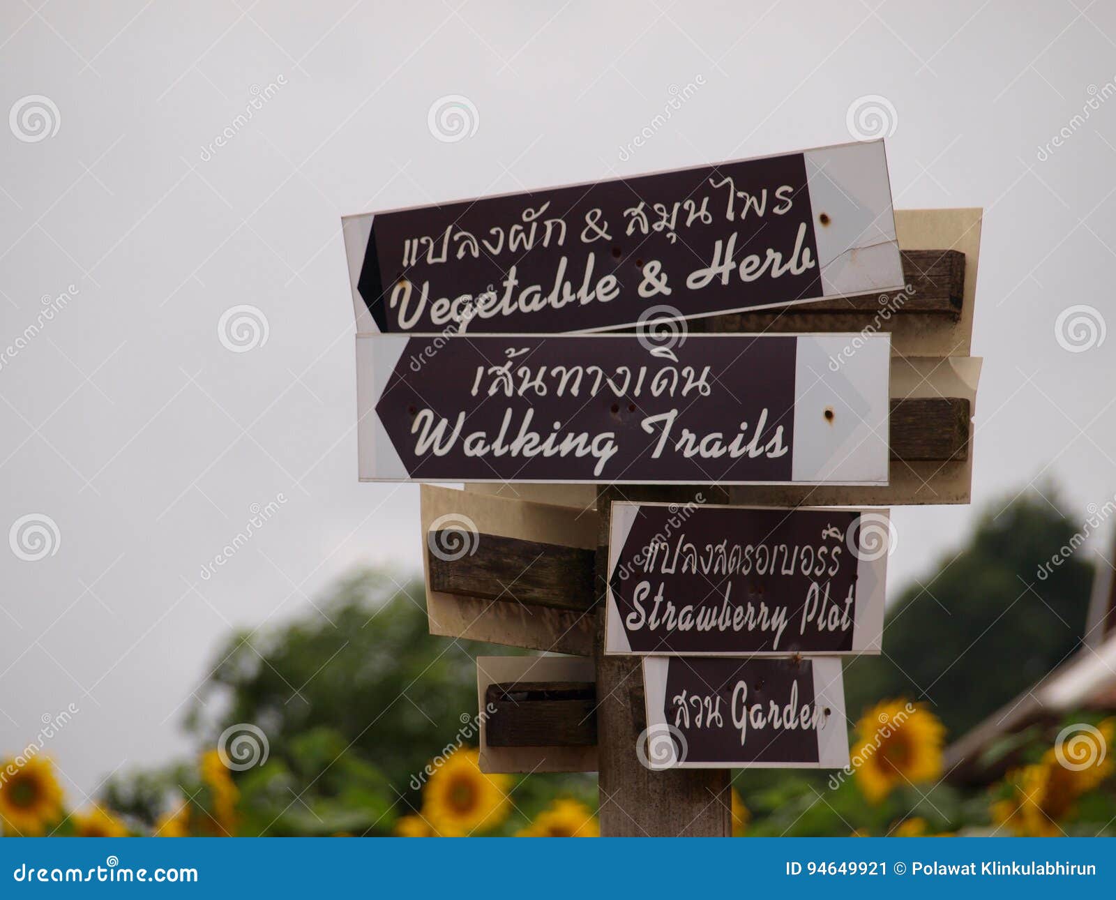 The Direction Sign for the Tourist. Stock Image - Image of directions ...