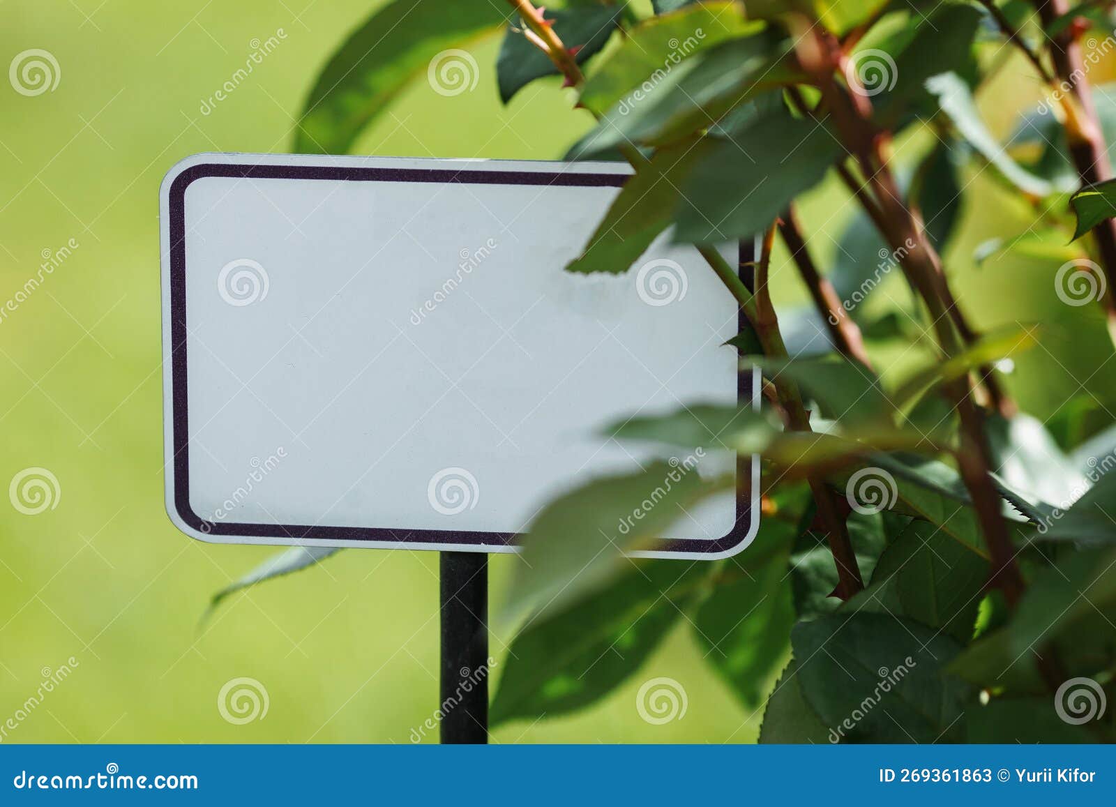 Sign Board for Plants in the Botanical Garden Stock Image - Image of ...