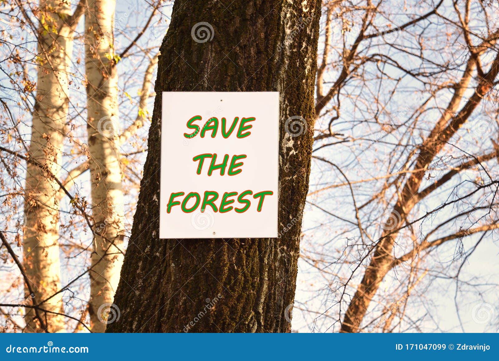 Sign Board on a Tree with Save the Forest Message Stock Image - Image ...