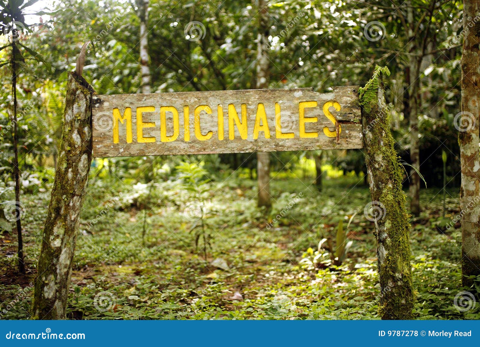 Sign in botanical garden stock photo. Image of medicinal - 9787278