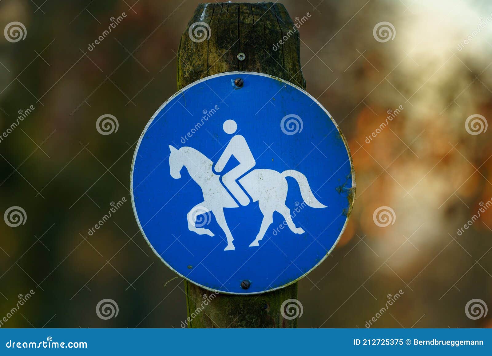 Sign: Bridle path stock image. Image of forest, horse - 212725375