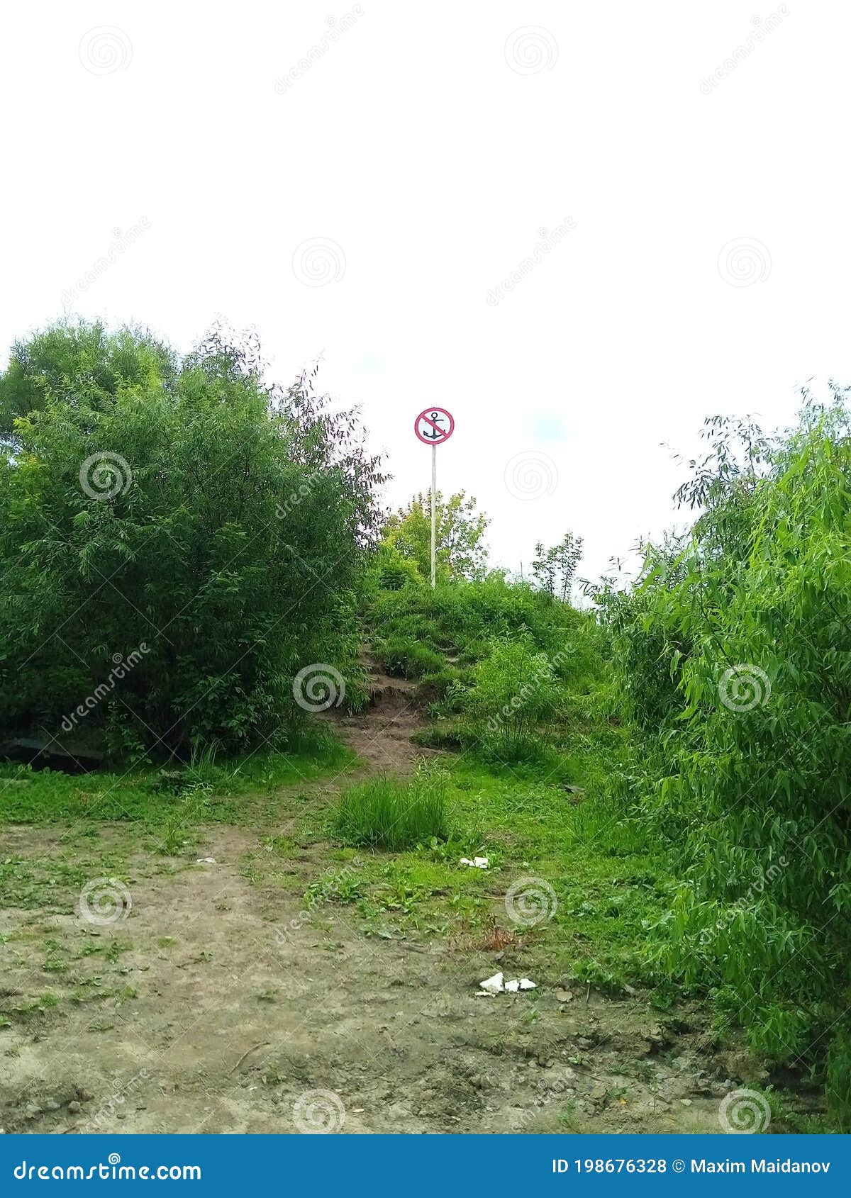 Sign in the bushes stock photo. Image of summer, coastal - 198676328