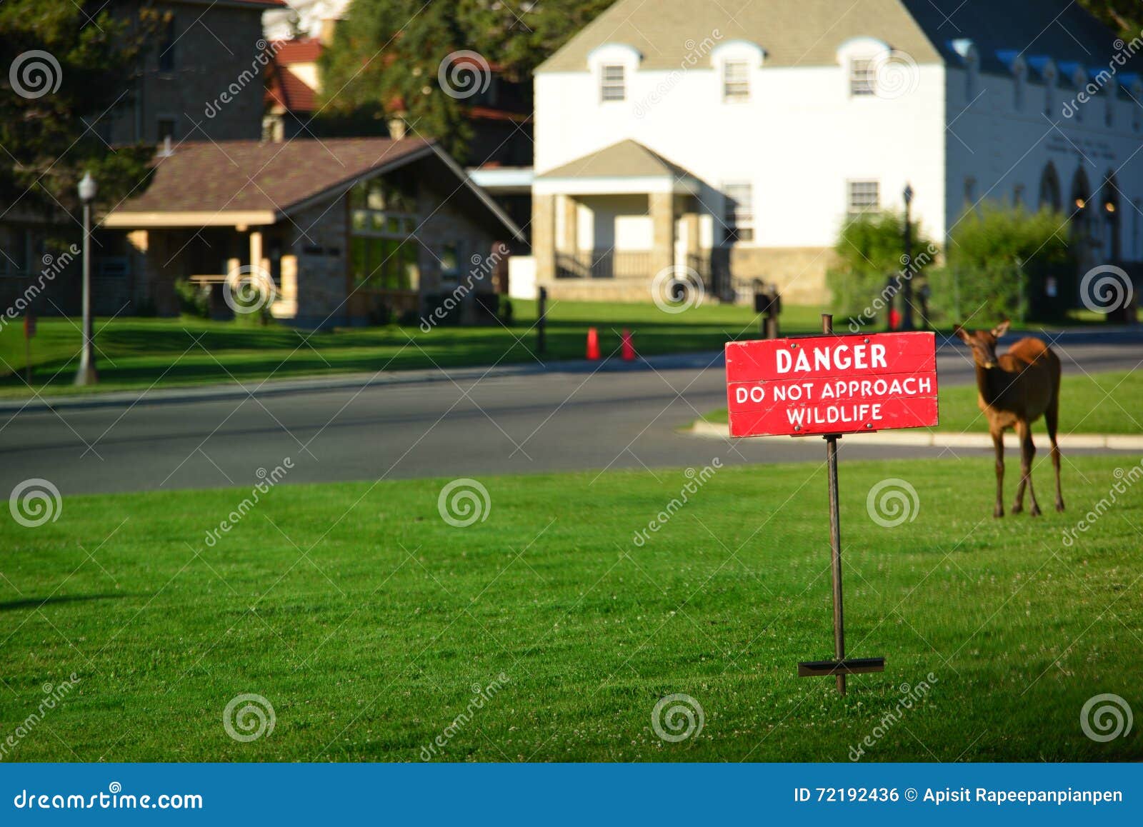 Sign, Danger Do Not Approach Wildlife Stock Photo - Image of wildlife ...