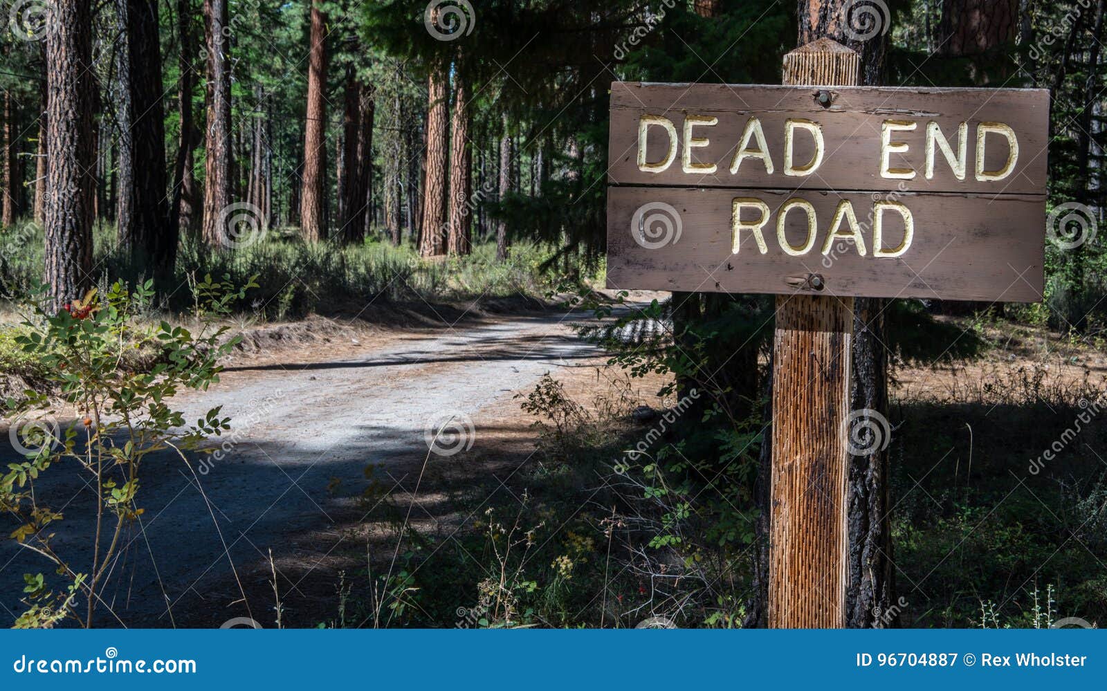 Sign for dead end road stock image. Image of forest, service - 96704887