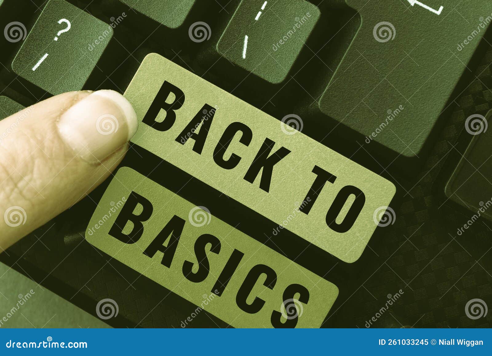 Writing Displaying Text Back To Basics. Business Showcase Return Simple ...