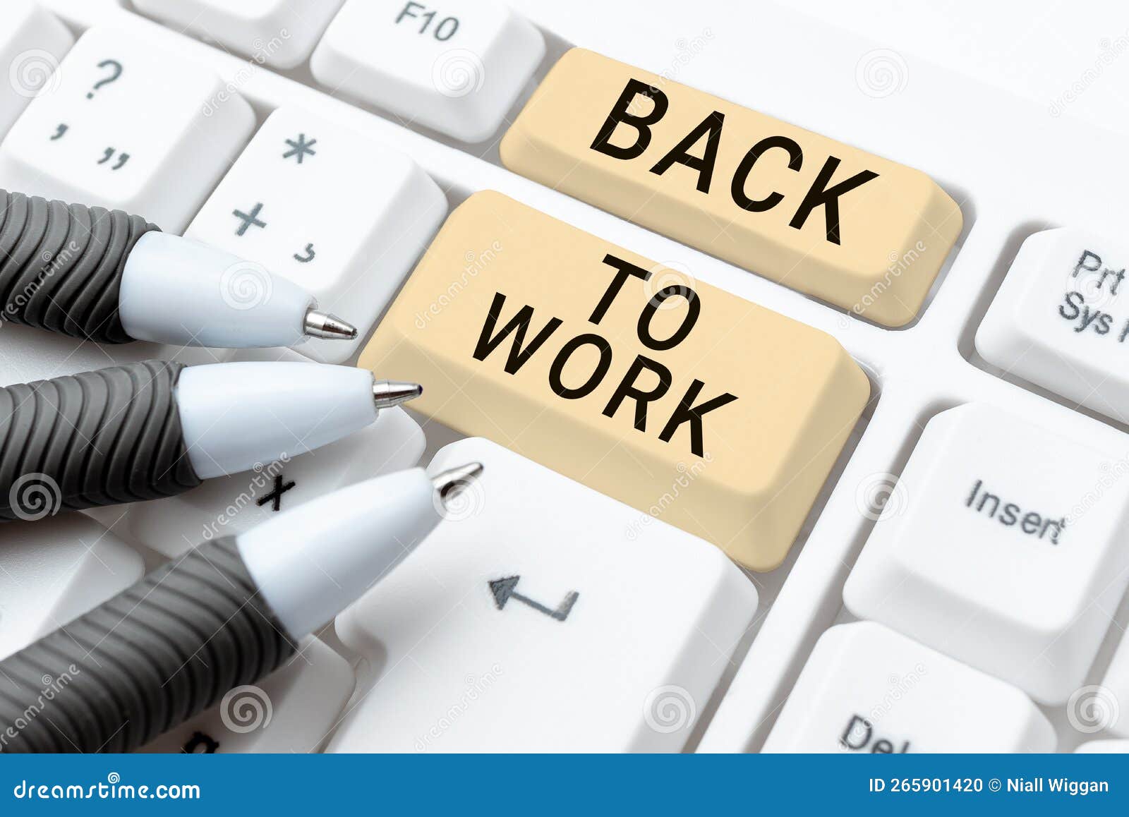 Sign Displaying Back To Work. Concept Meaning Returning To Job Routine ...