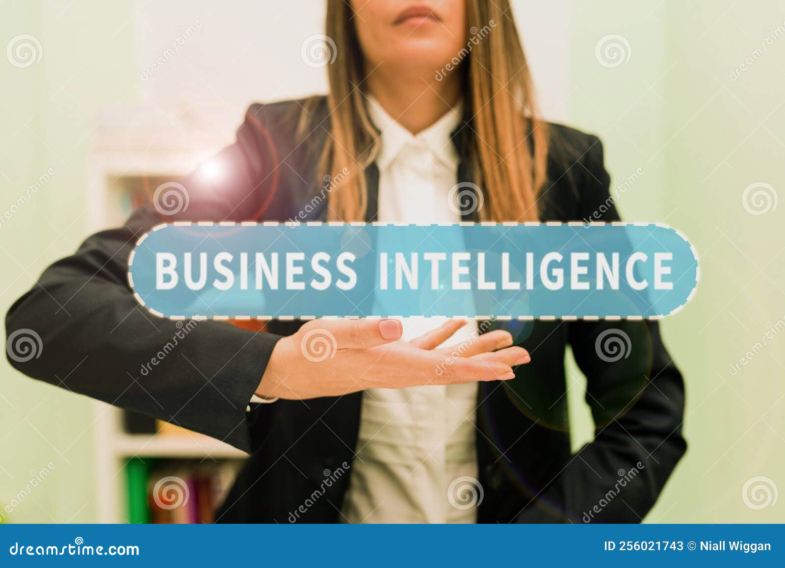 Conceptual Caption Business Intelligence. Concept Meaning Best Practice ... Conceptual Caption Business Intelligence. Concept Meaning Best Practice ...