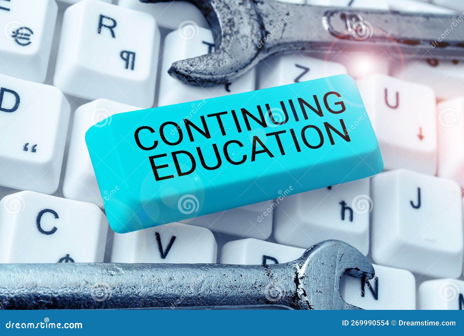 Conceptual Caption Continuing Education. Business Overview Continued ...