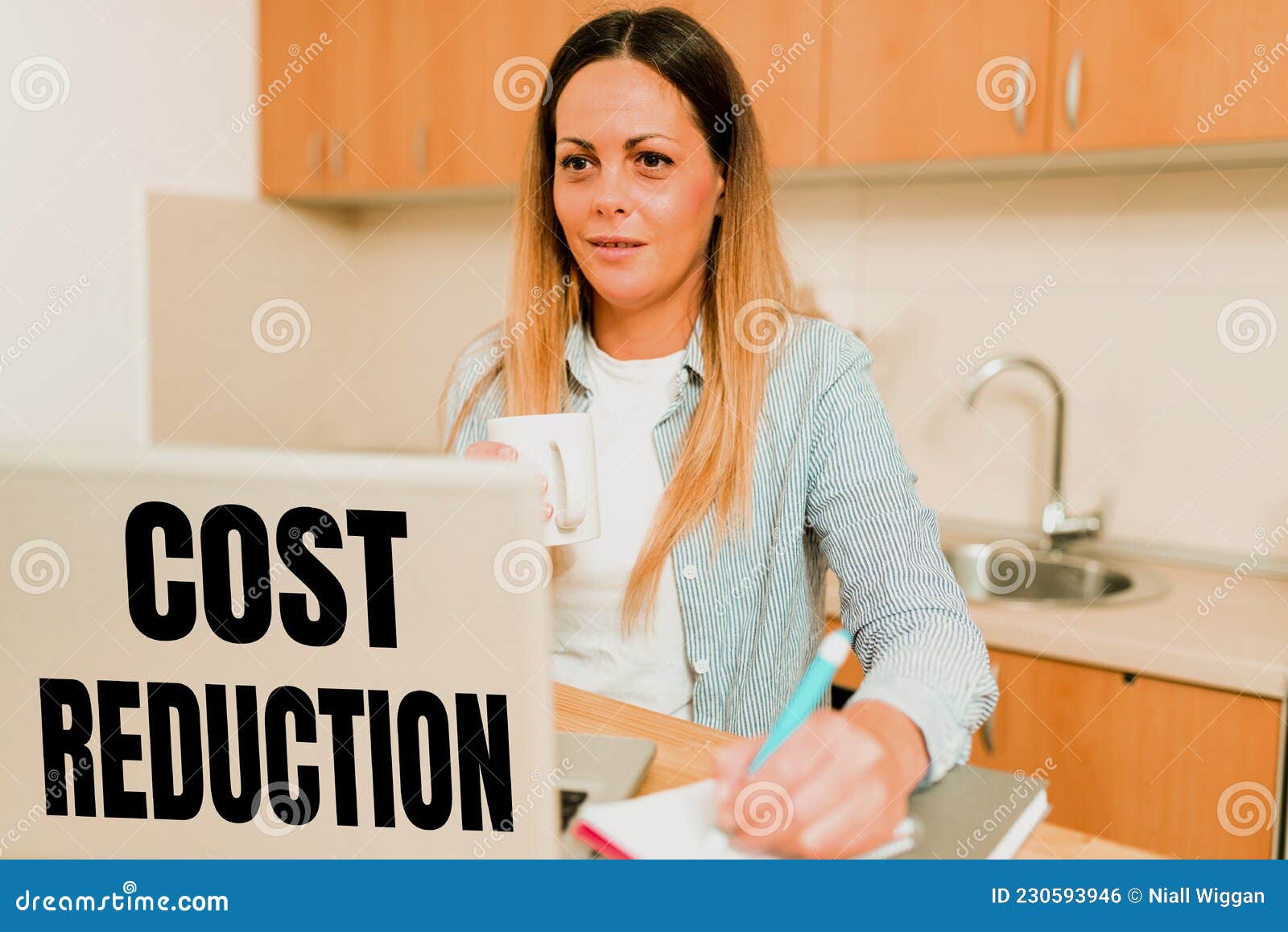 Sign Displaying Cost Reduction. Business Showcase Process of Finding ...