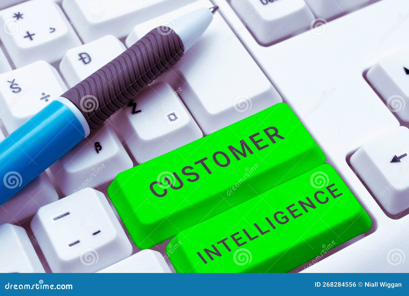 Sign Displaying Customer Intelligence. Business Idea Orientation of an ...