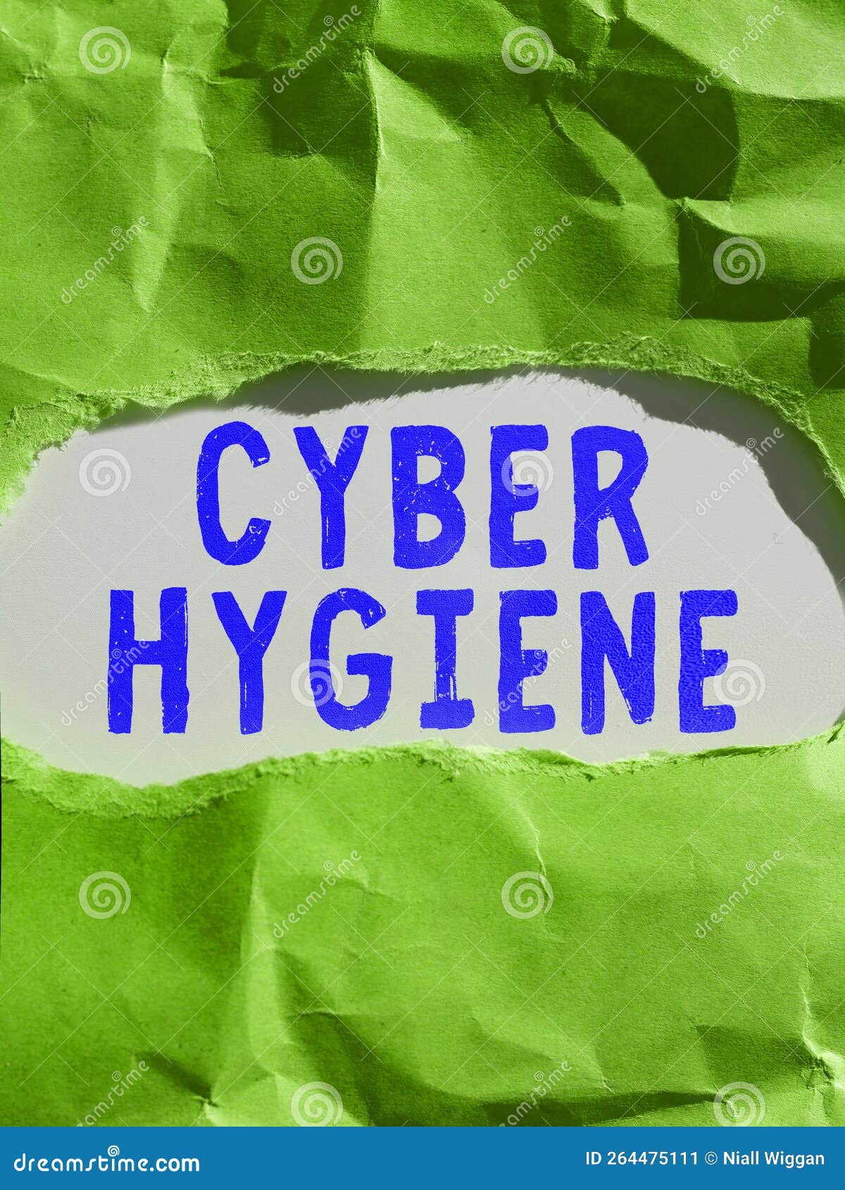 Sign Displaying Cyber Hygiene. Concept Meaning Steps that Computer ...