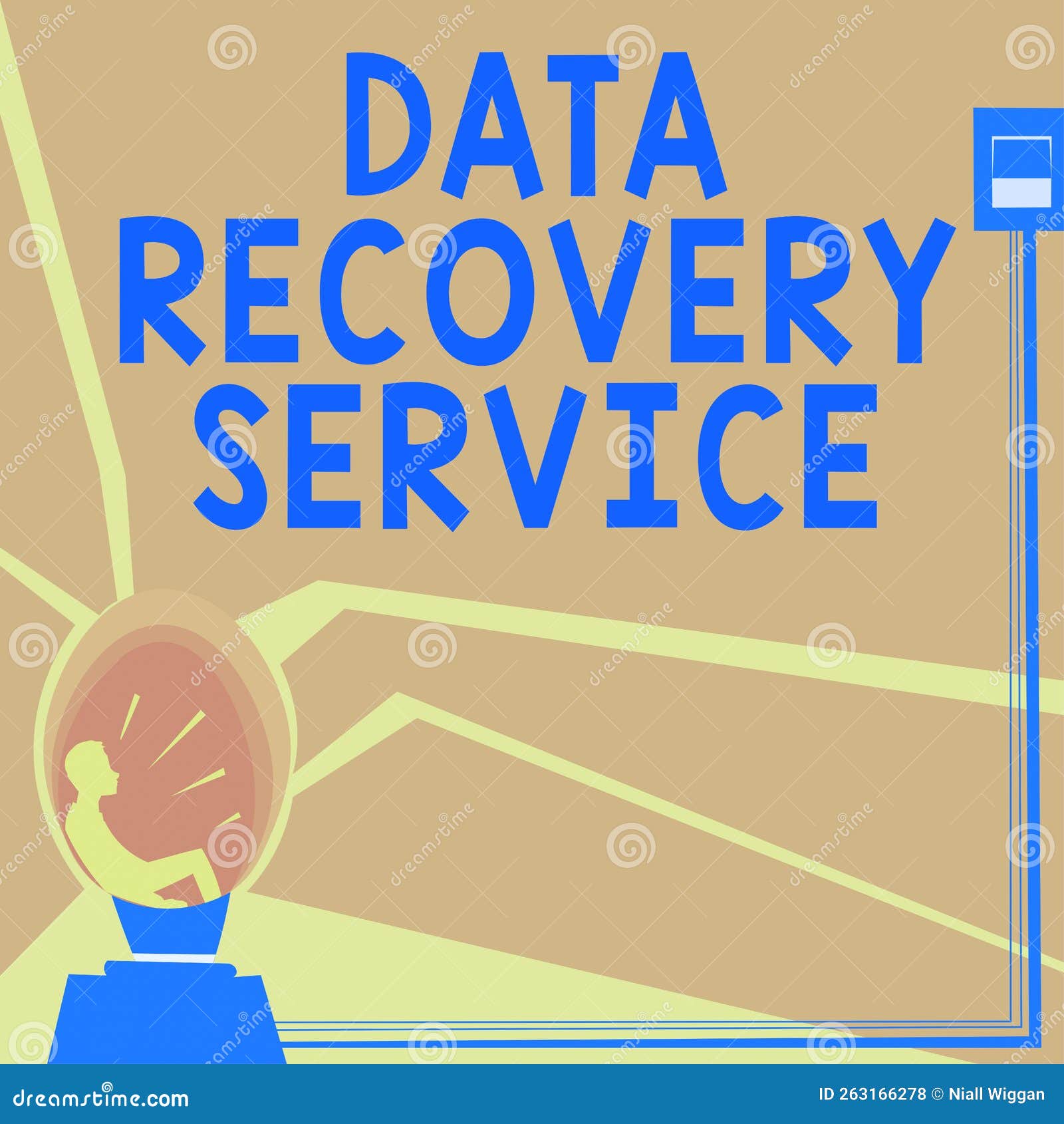 Sign Displaying Data Recovery Service. Business Showcase Process of ...