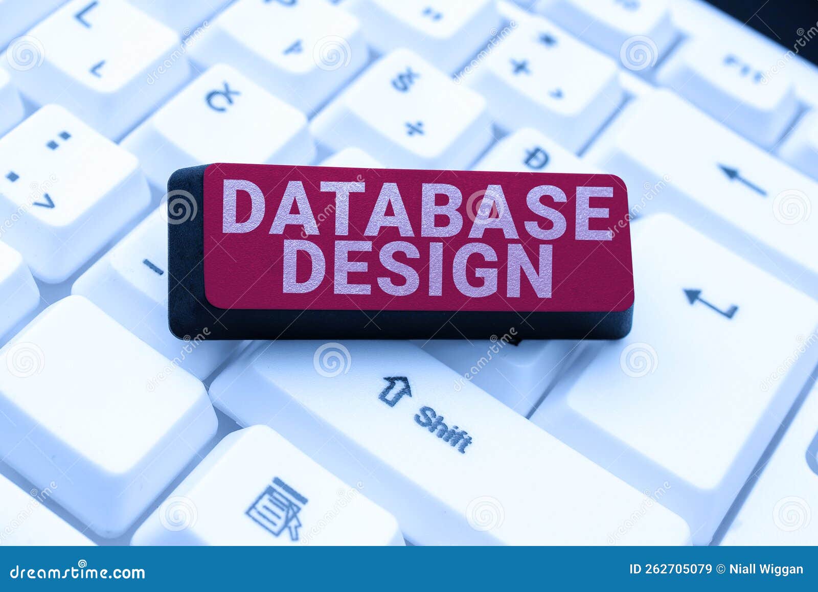 Writing Displaying Text Database Design. Business Overview Organisation ... Writing Displaying Text Database Design. Business Overview Organisation ...