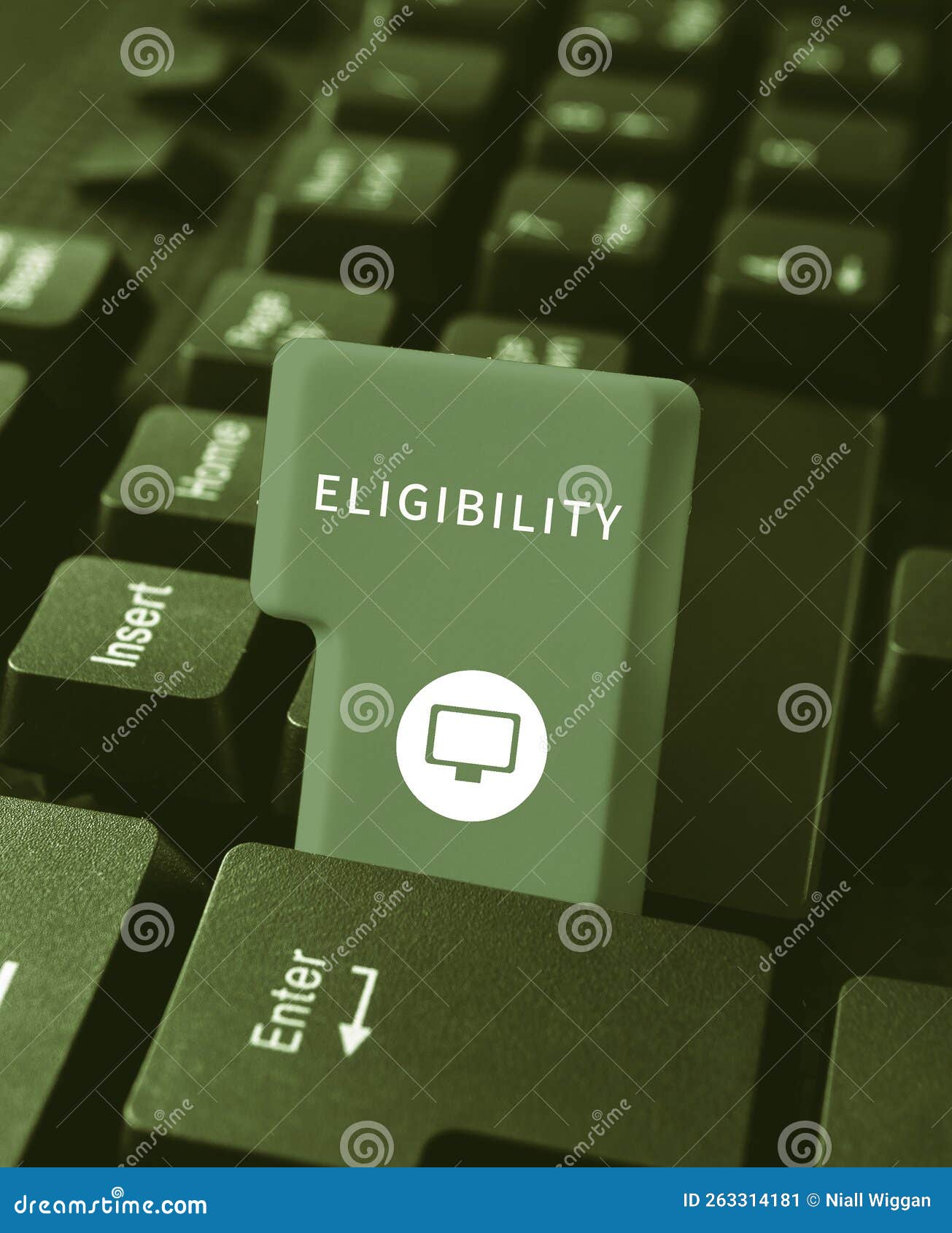 Conceptual Display Eligibility. Business Concept State of Having the ...