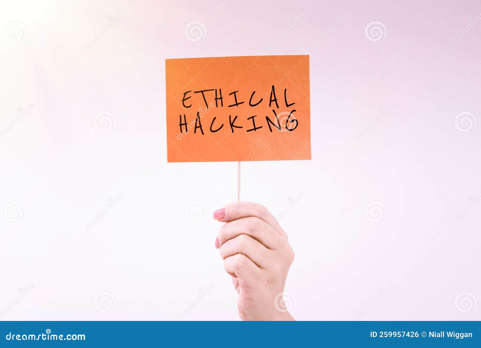 Conceptual Display Ethical Hacking. Business Overview a Legal Attempt ...