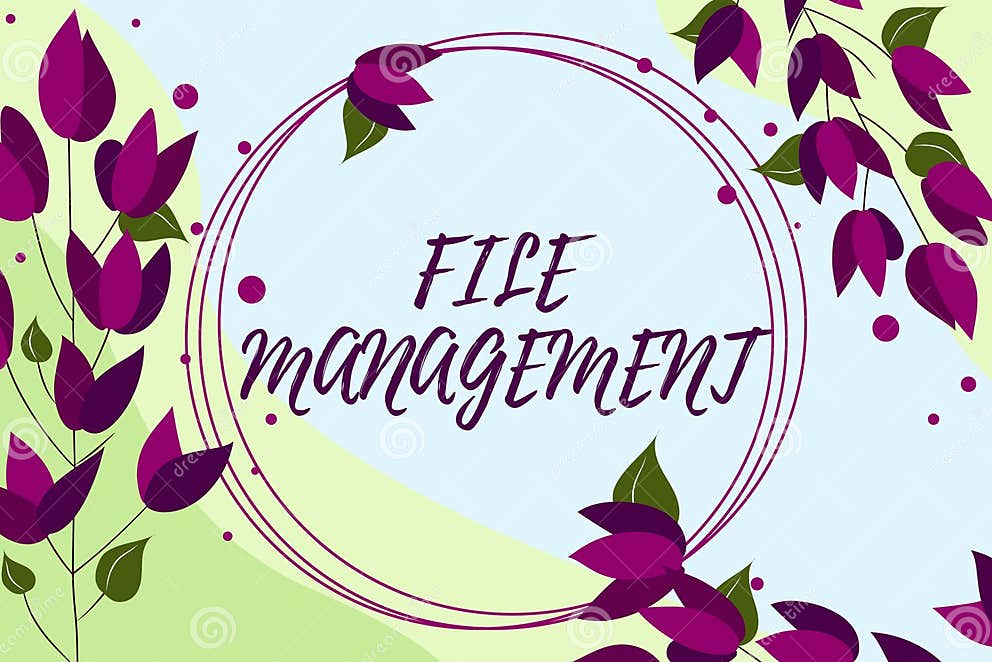 Sign Displaying File Management. Business Overview Computer Program ...