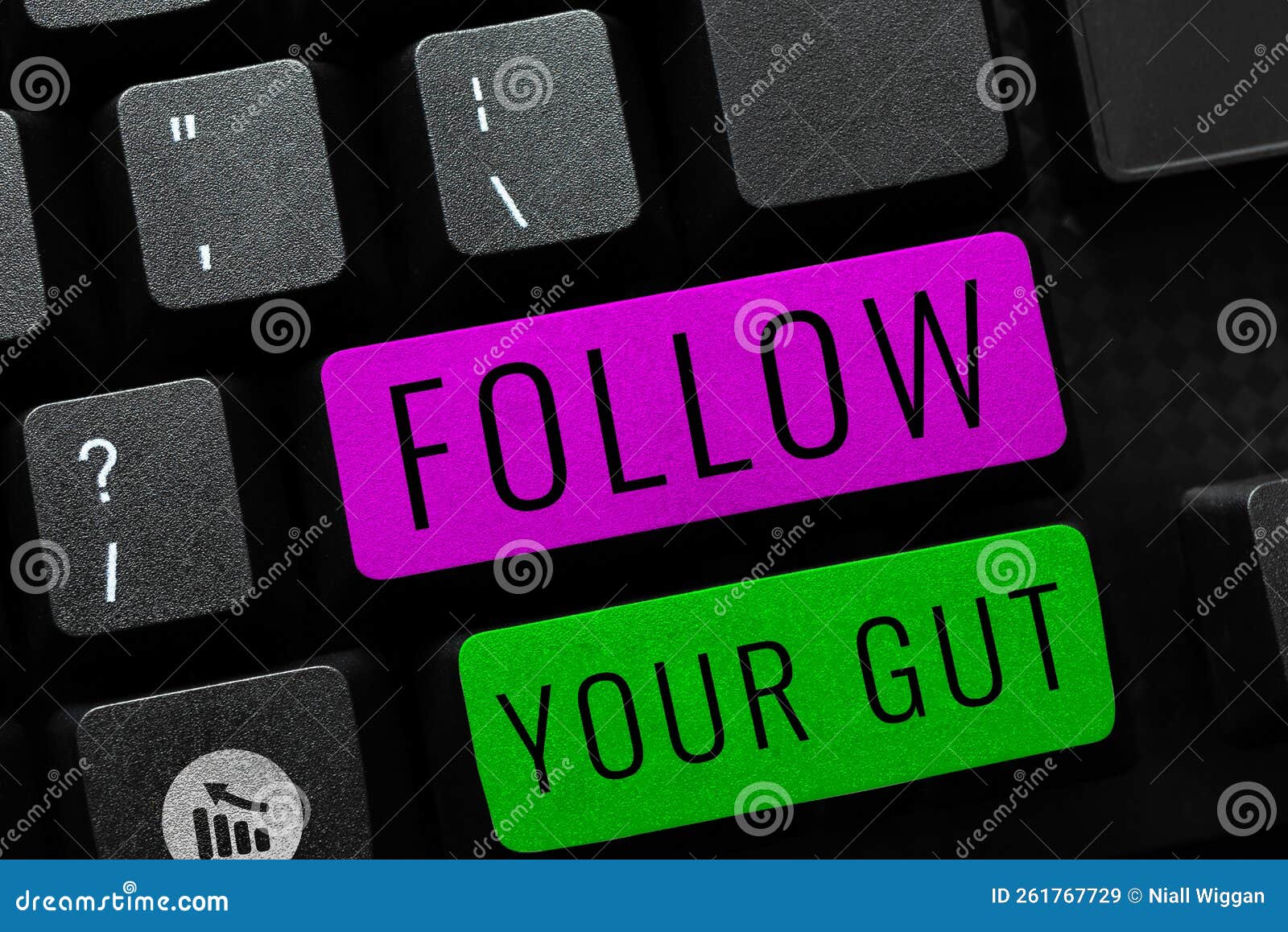 Inspiration Showing Sign Follow Your Gut. Conceptual Photo Listen To ... Inspiration Showing Sign Follow Your Gut. Conceptual Photo Listen To ...